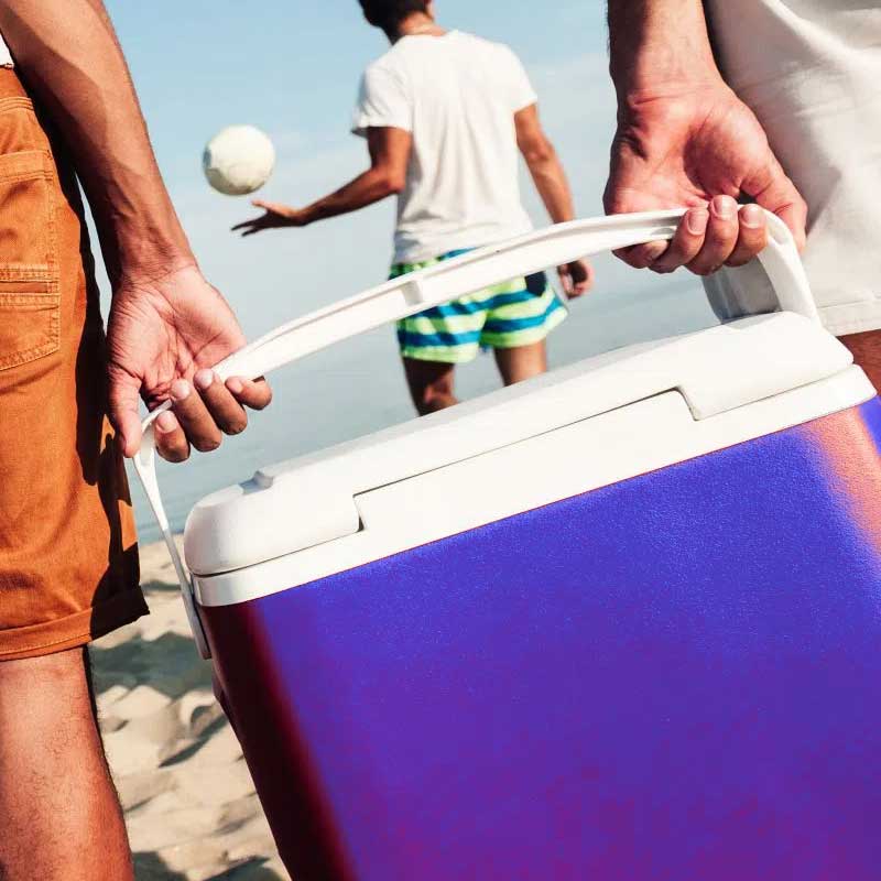 Insulated Coolers – Tov Lev Wholesale